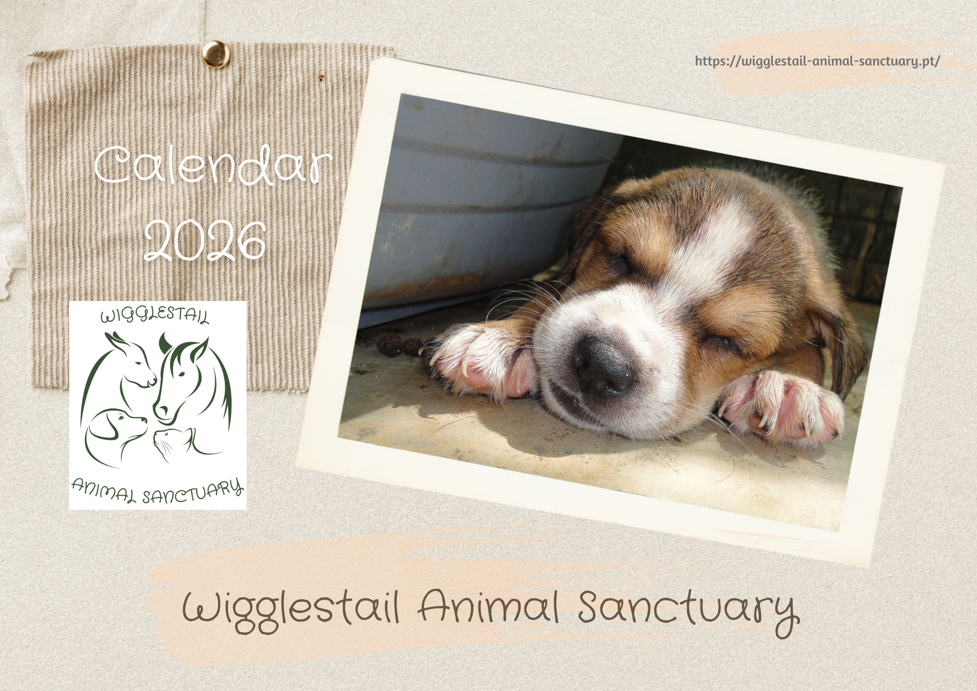Calendar 2026: Support Wigglestail Animal Sanctuary
